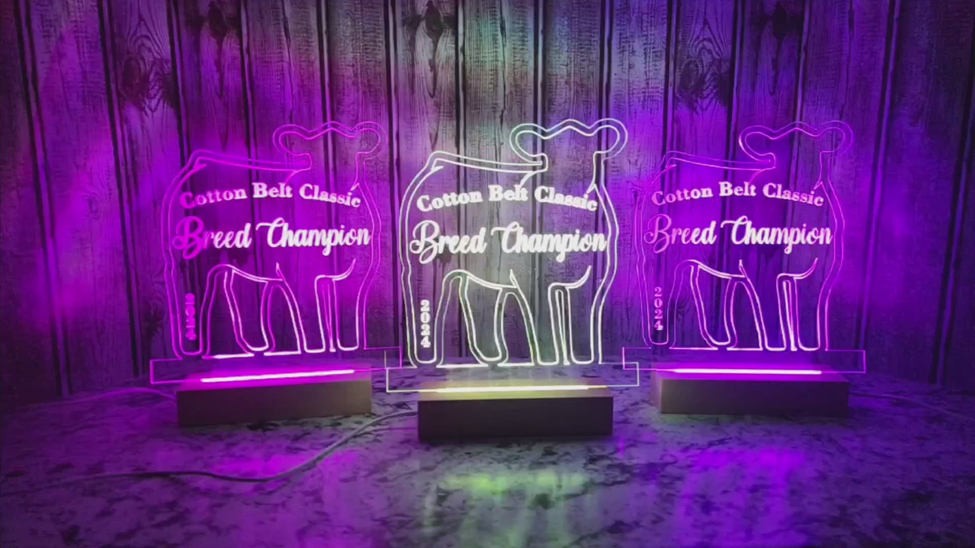 Lighted Acrylic Awards – hoggheavendesigns